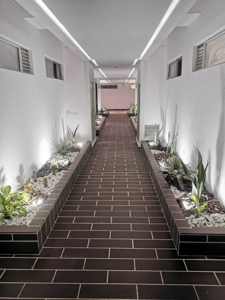 Gris Visón - Renueve